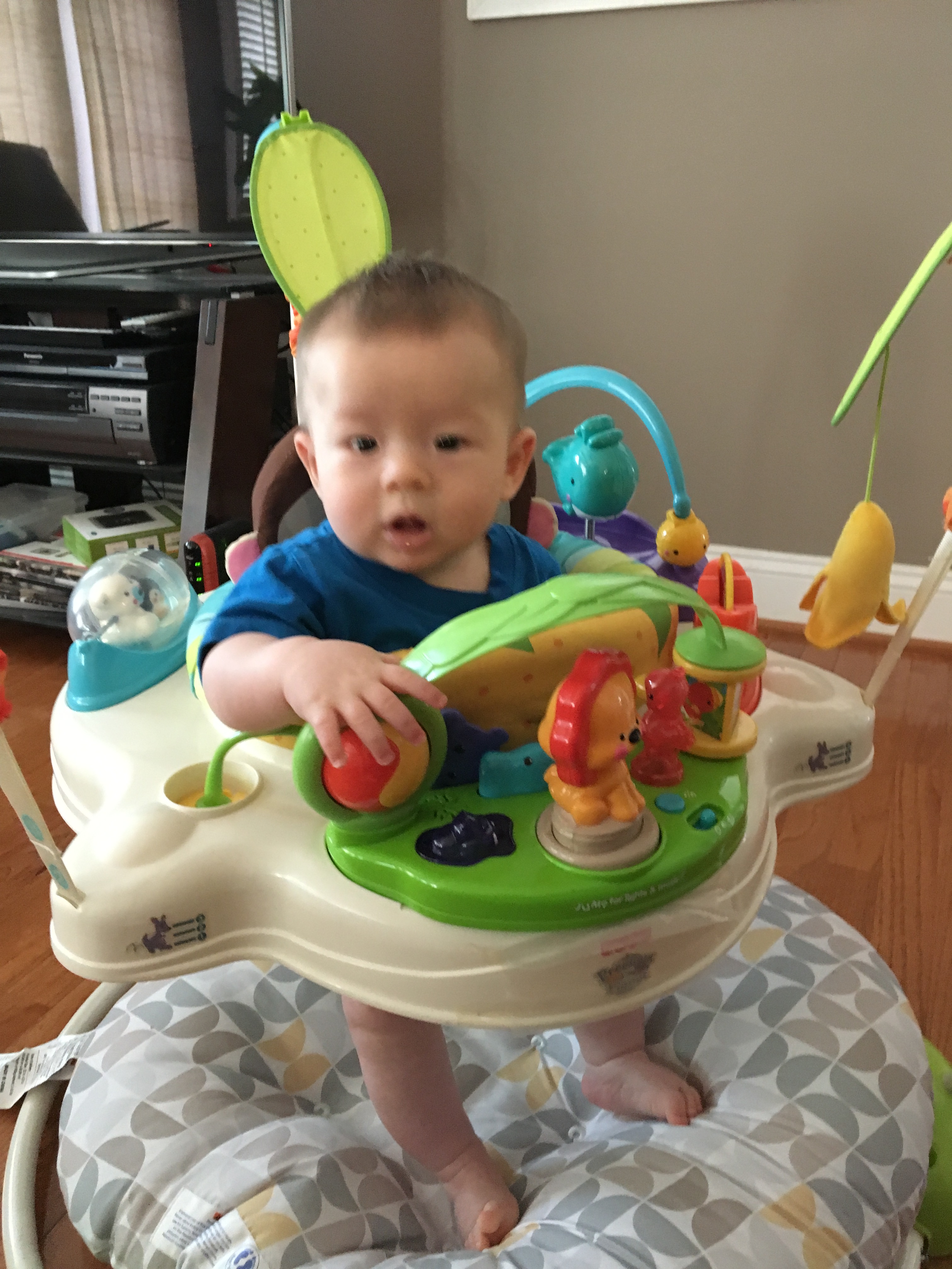 TBOT 3 – Teddy Through 6 Months! – Traipse Reports – Trips and Races